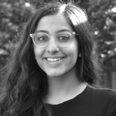 About | MIT Election Lab